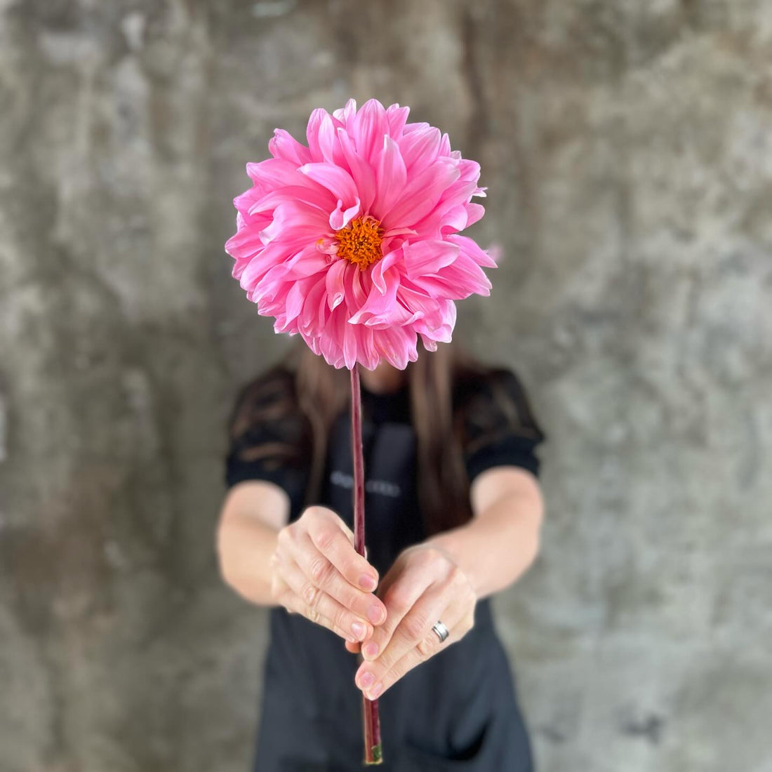 Kate Hill | One of Australia's Most Renowned Floral Designers – Kate ...